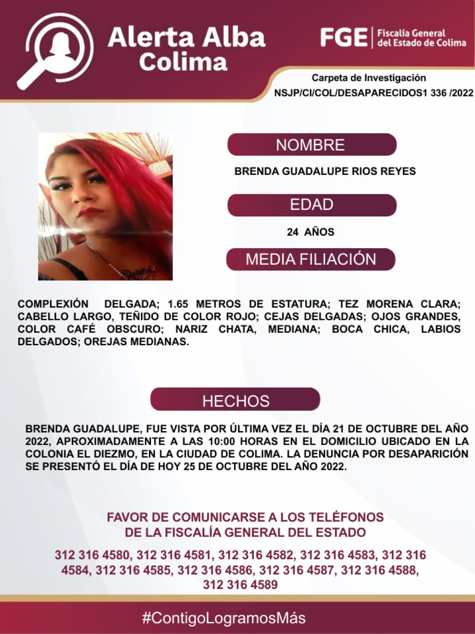 Protocolo Estatal Alerta Alba